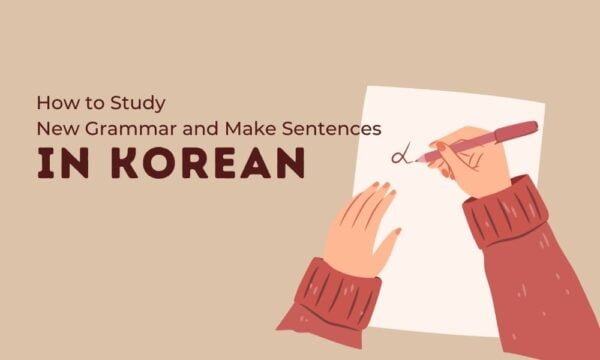How to Use New Grammar and Make Sentences - Akapinn